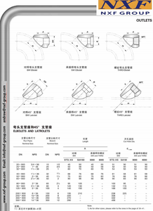 NXF UNS N08904 904L(NO8904) /1.4539 DN15-1200 Class3000-9000 Forged ...